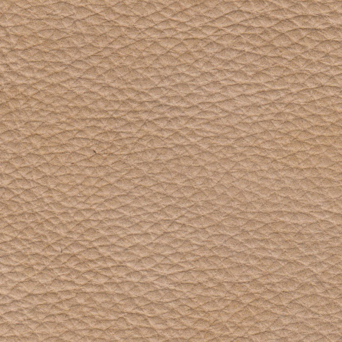 Hancock and Moore Leather Swatches – Coast Buff Protected, Class 2